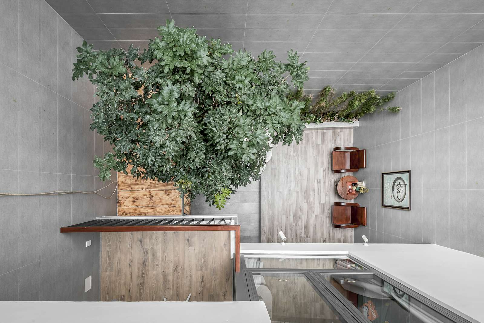 Photo 10 of 13 in A Light-Filled Atrium With a Tree House Anchors a ...