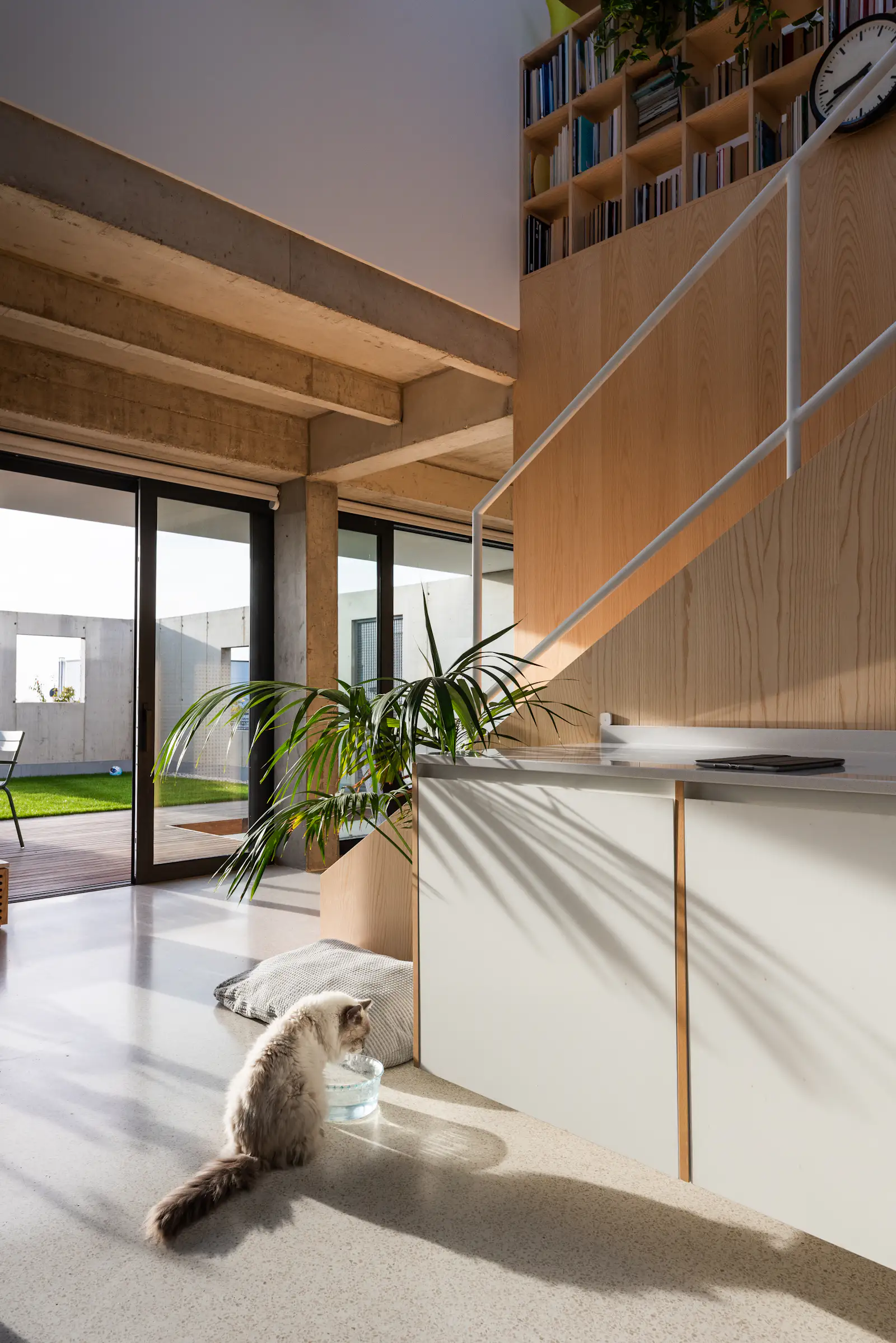 House for a Family with Pets by Sadovsky & Architects - Dwell