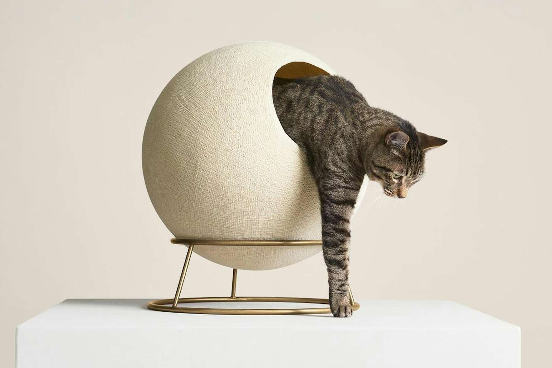 Modern Cat Beds That Won't Clash With Your Decor - Dwell