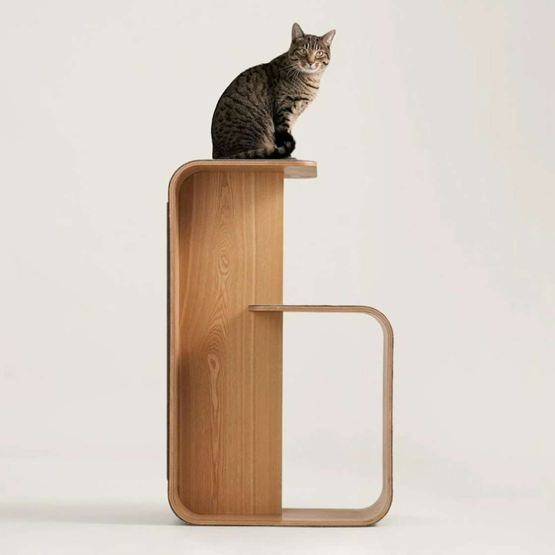 8 Modern Cat Trees That Will Look Fab in Your Home - Dwell