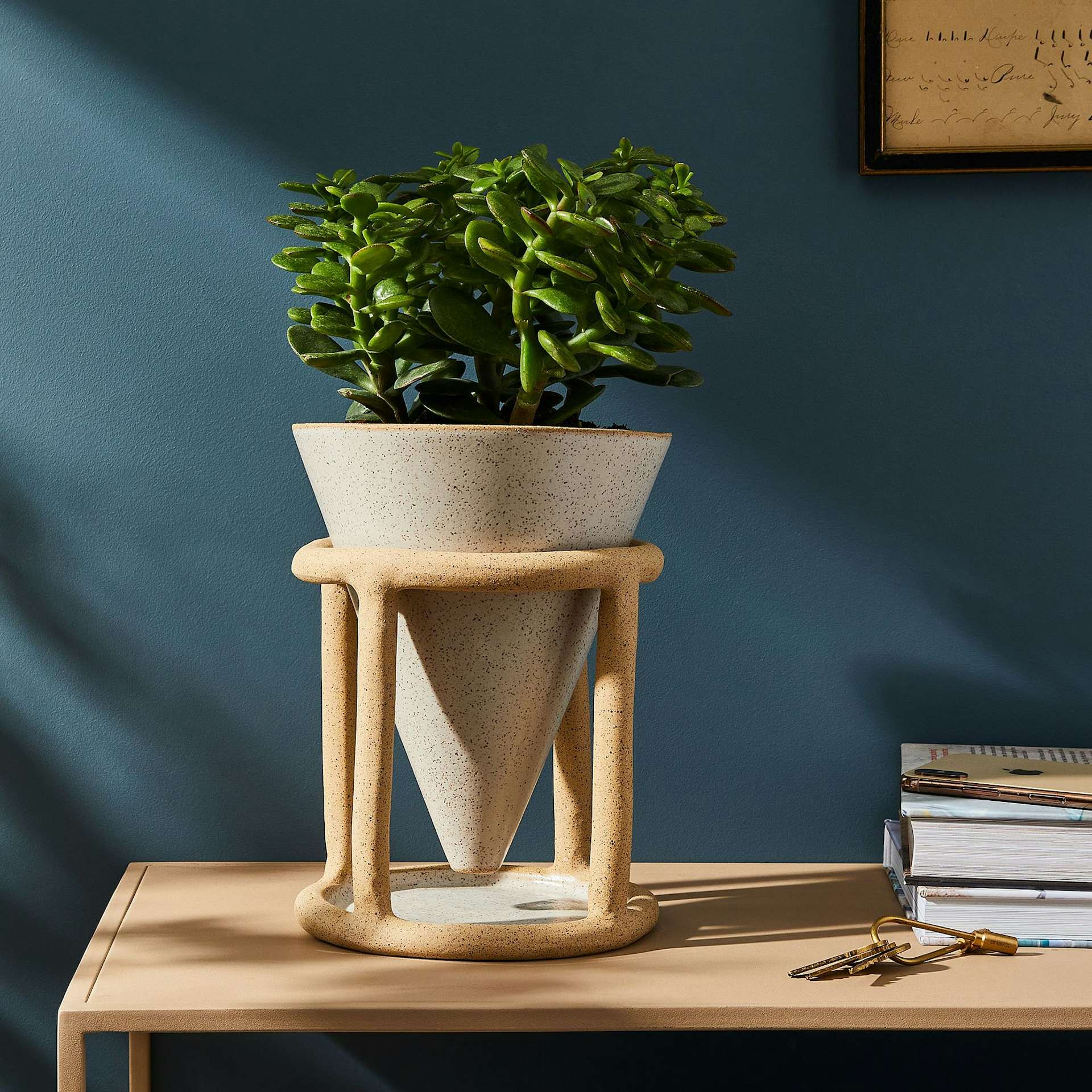 Discover the best Tabletop-Pod-Planters.html products on Dwell - Dwell