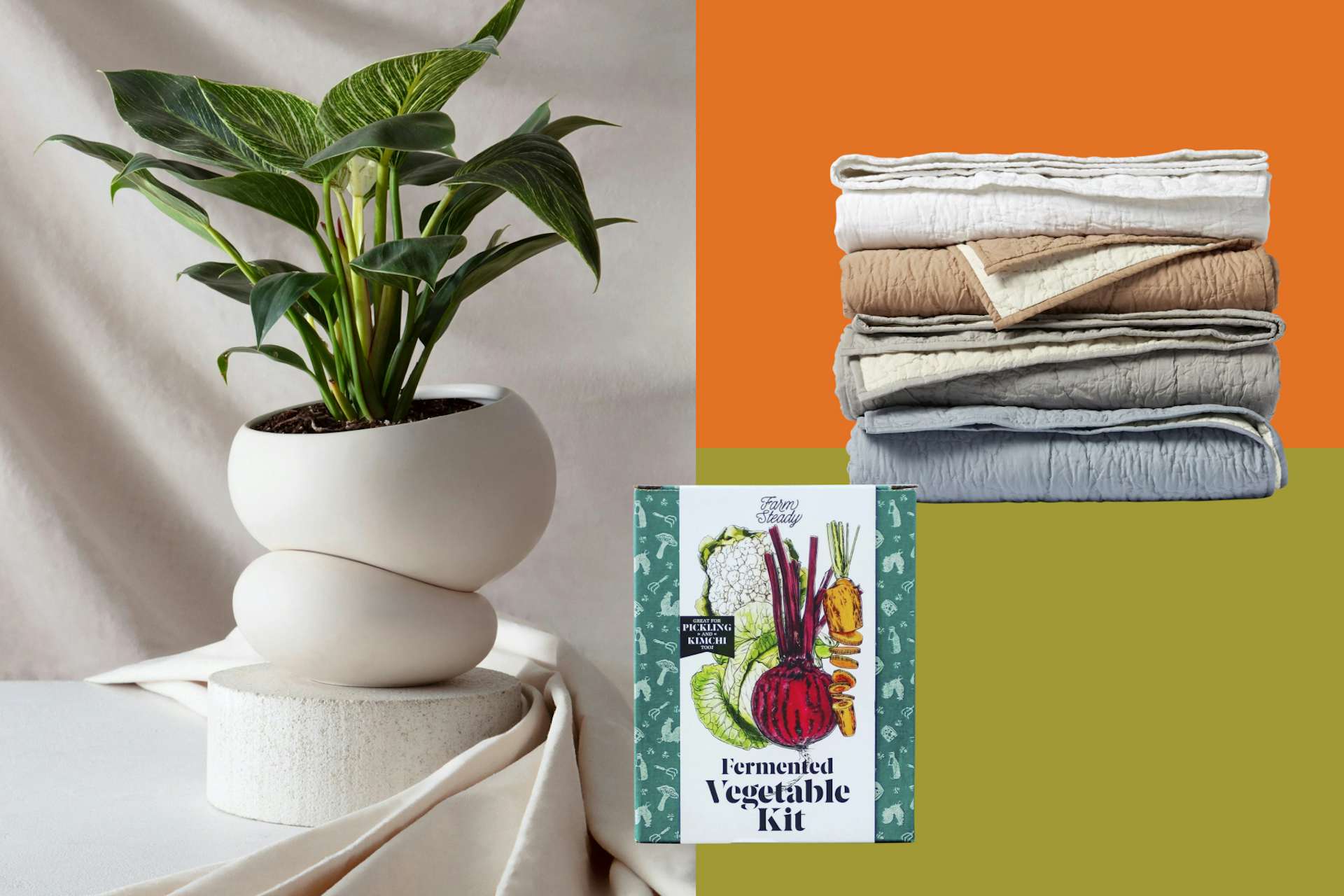 Photo 1 of 2 in How to Cultivate an Indoor Oasis, According to the Duo ...