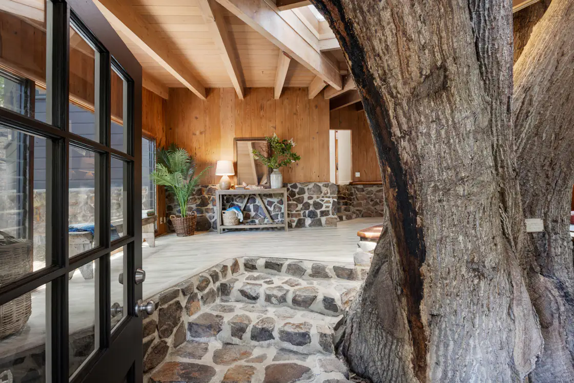 Photo 4 of 14 in Towering Trees Grow Through the Roof of This $2.6M ...