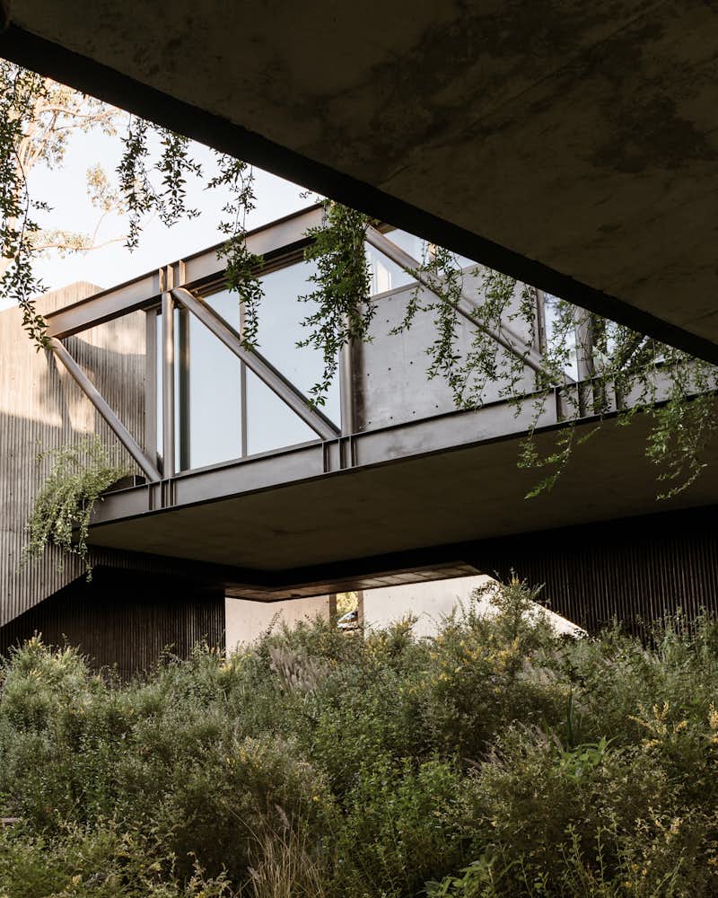 Photo 13 of 17 in A Dark Serpentine Structure Works as a Surprisingly ...