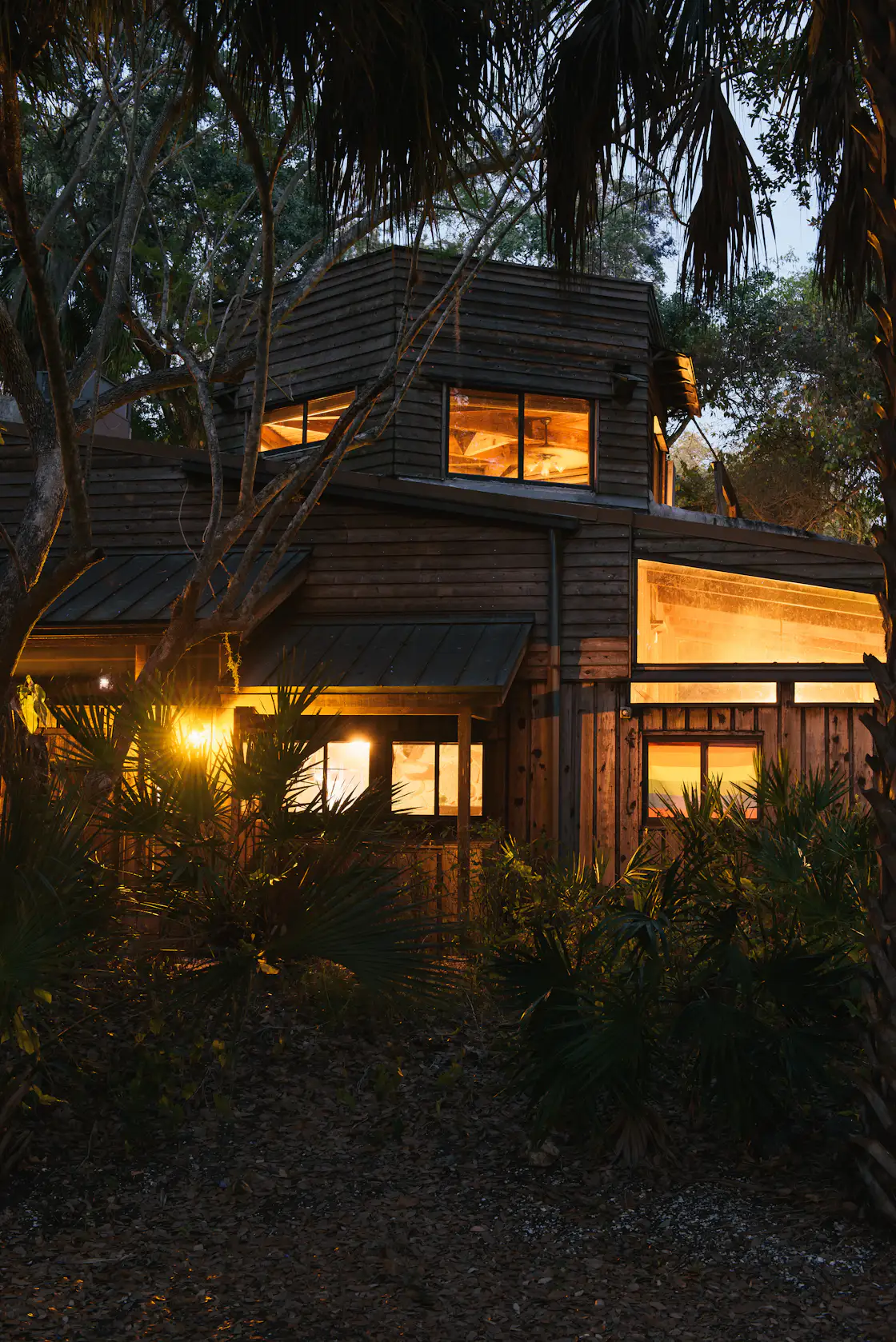 Photo 14 of 14 in The House That Helped Build the Modern Psychedelics ...