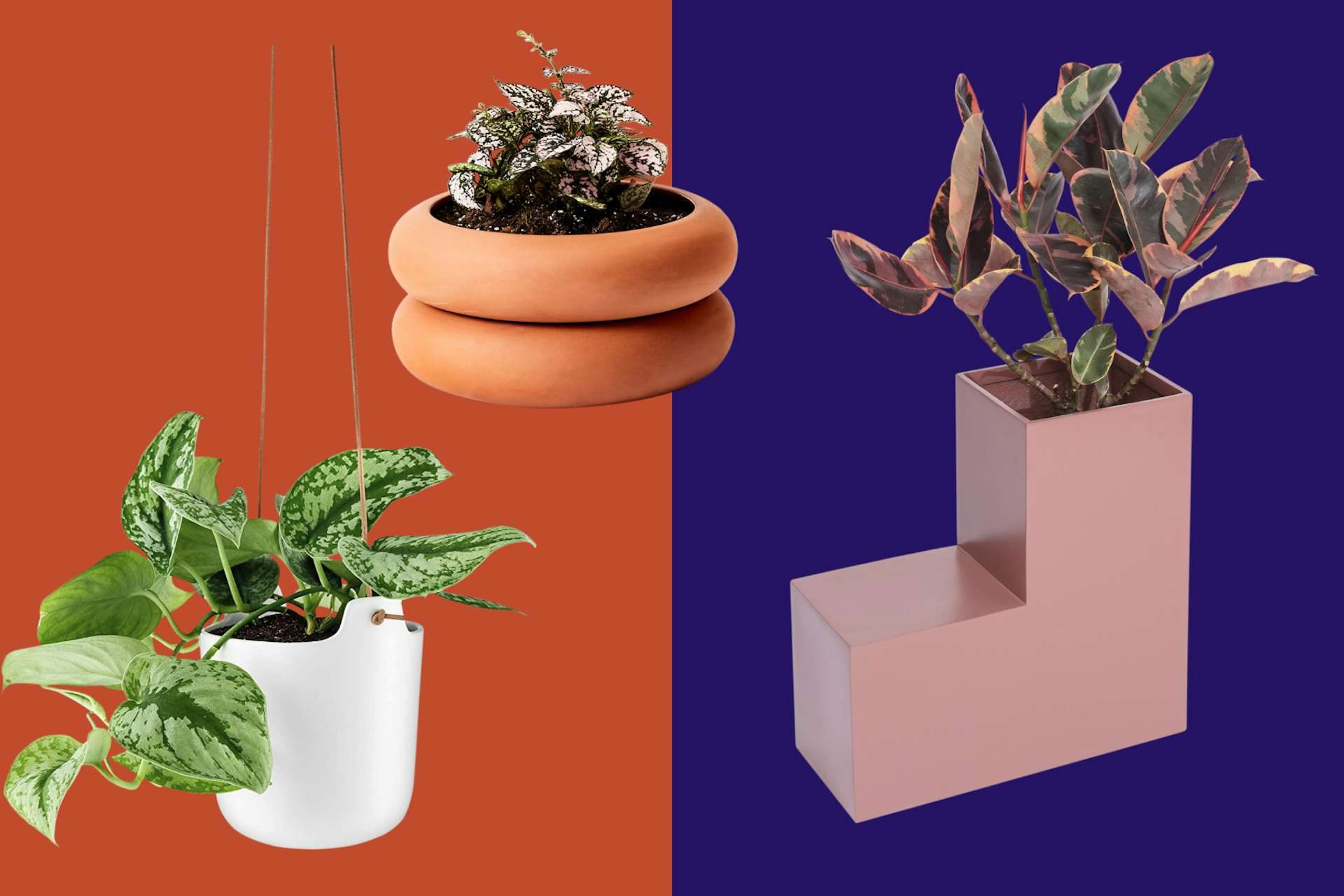 25 Chic Pots and Planters to Instantly Upgrade Your Greenery - Dwell