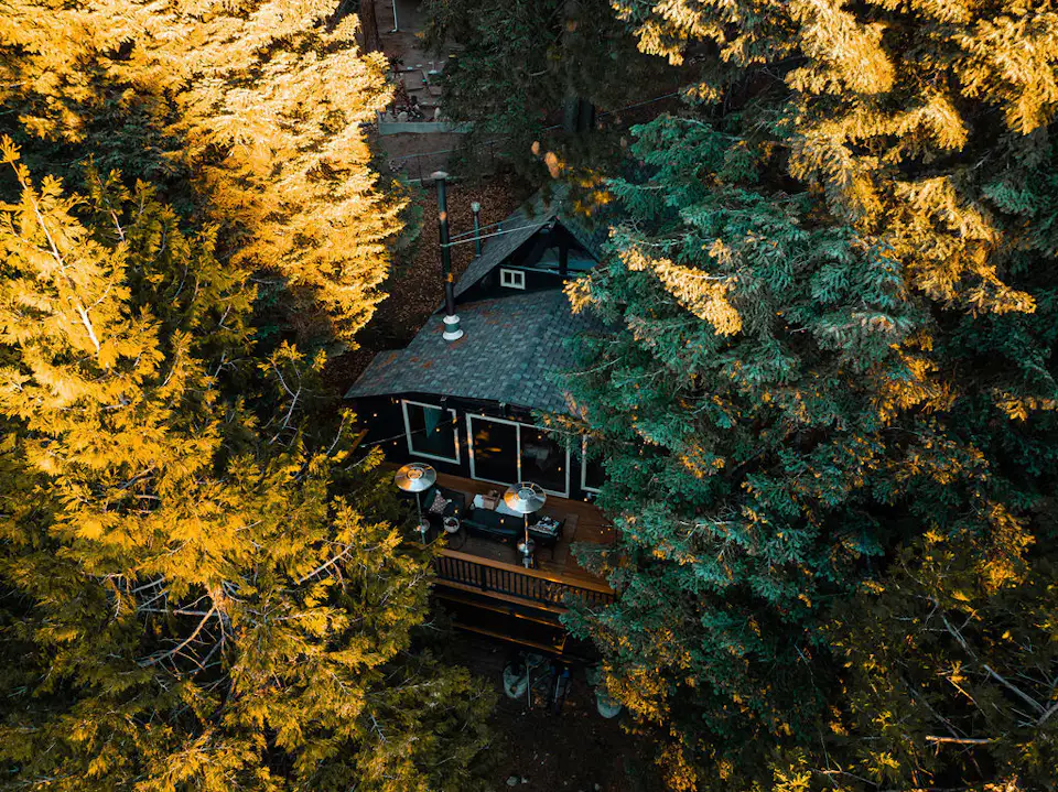 A Cozy Cabin in Southern California Conceals a Screening Room Fit for ...