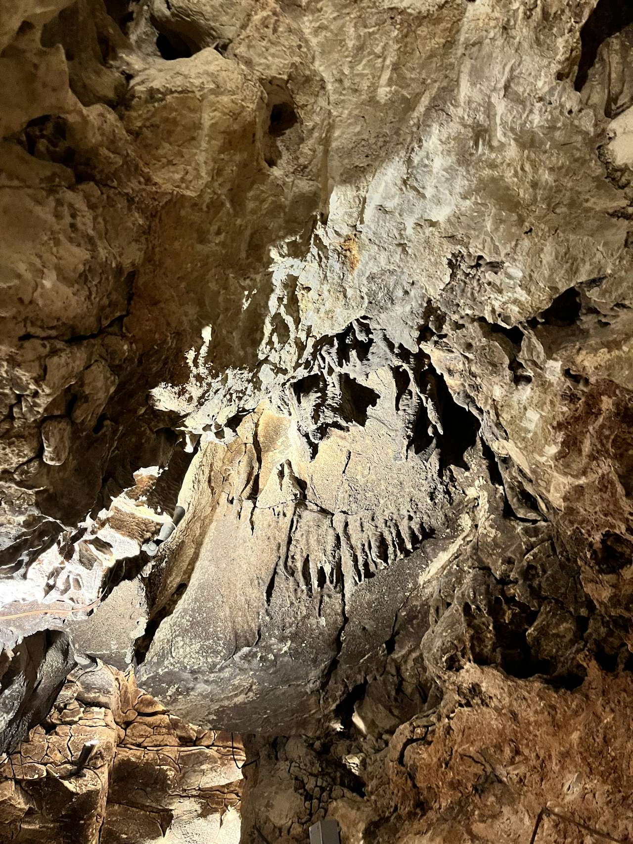 Photo 5 of 6 in Inside the Unassuming Texas Home That Just Happens to ...