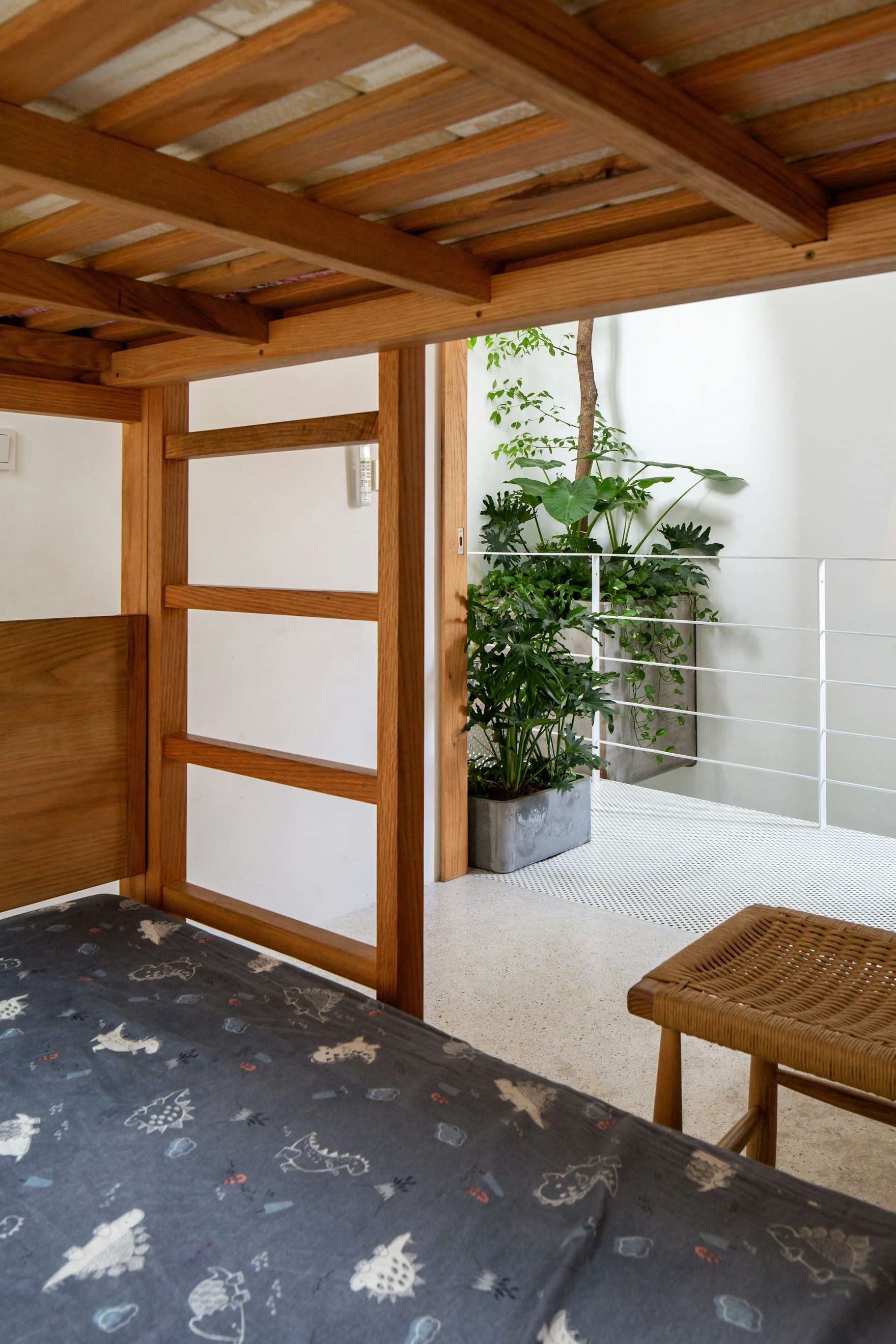 A Verdant Home in Hanoi Offers Respite From the Bustle of City Life - Dwell