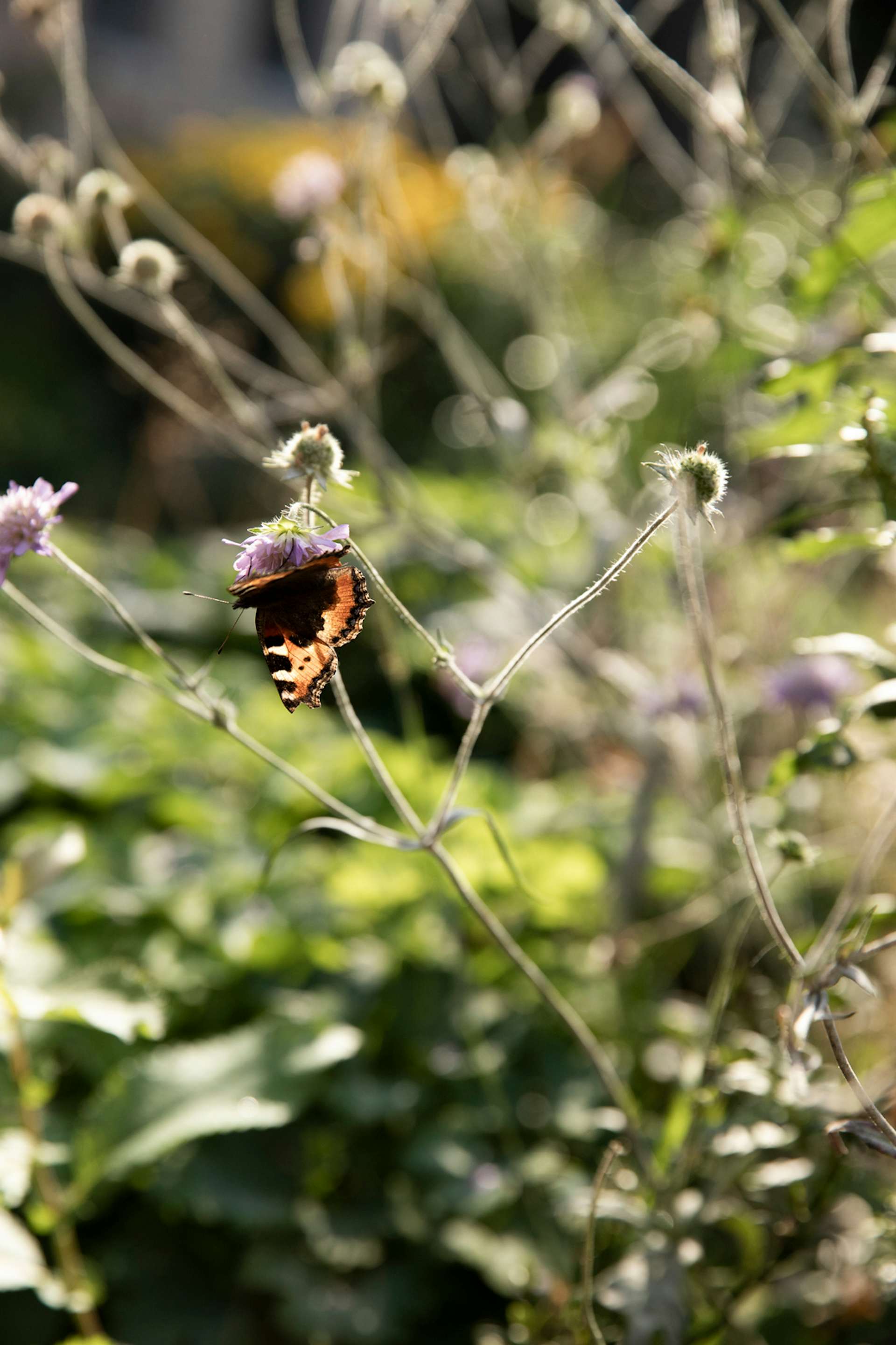 How Two Helsinki Architects Transformed a Parking Lot Into a Paradise ...