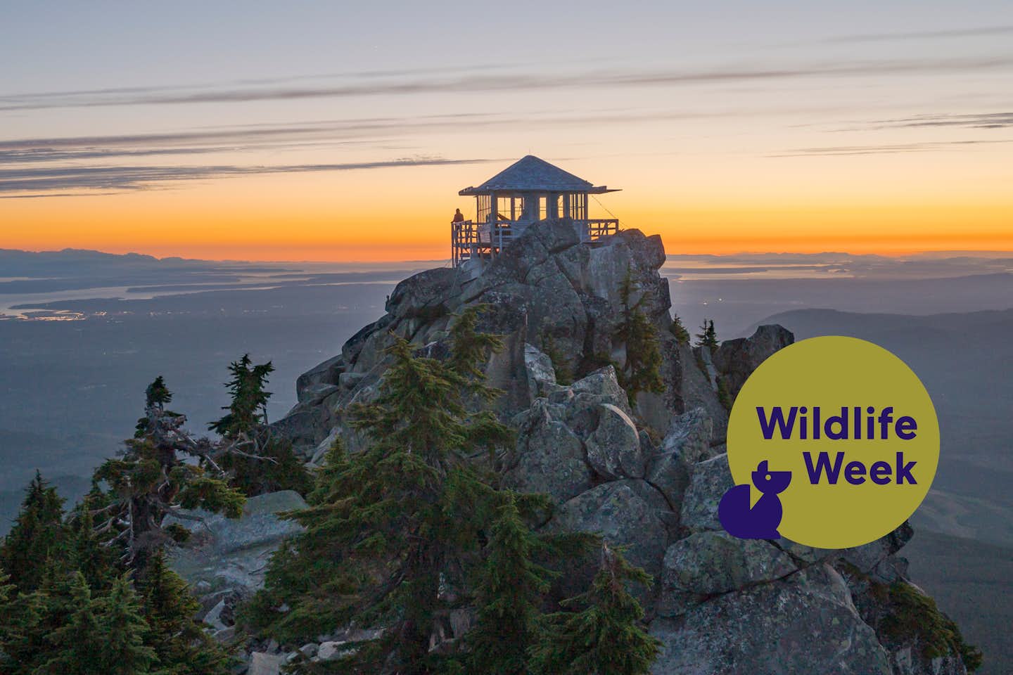 The Lives of Remote Fire Watchers - Dwell