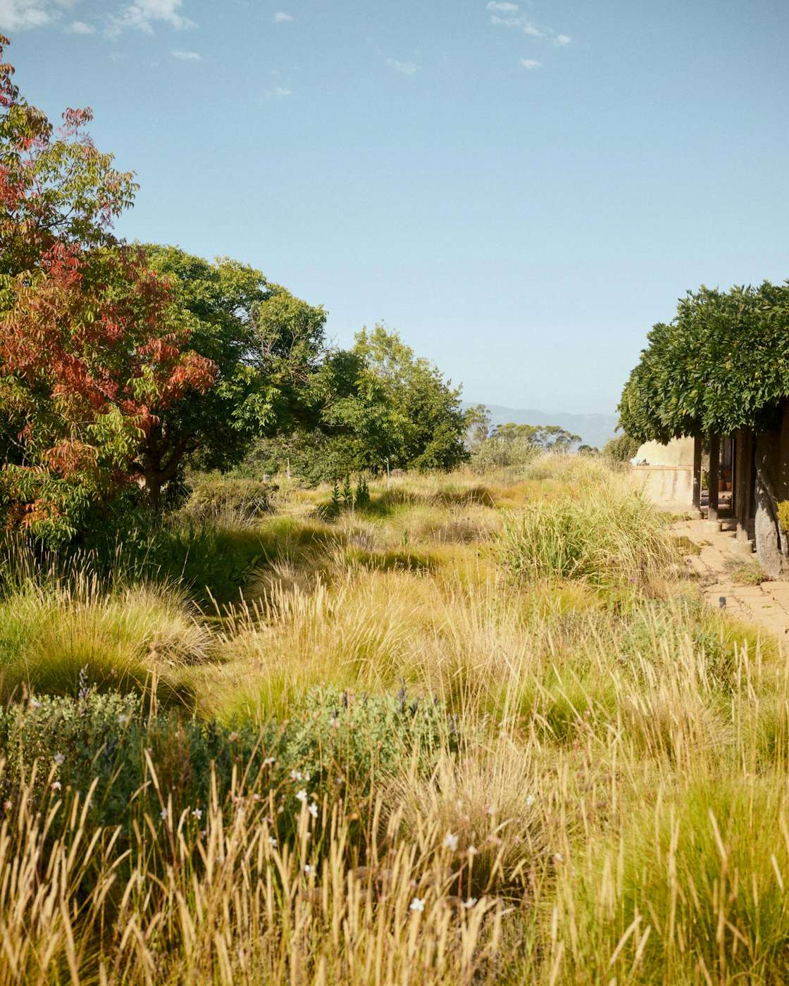 Photo 4 of 8 in Ditch the “Grow-Mow-Blow” Mentality of Lawn Care With ...