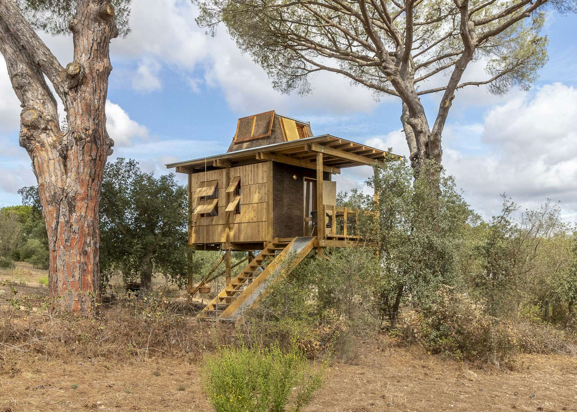 260 Square Feet of Tree House Is All a Portuguese Family Needs for the ...