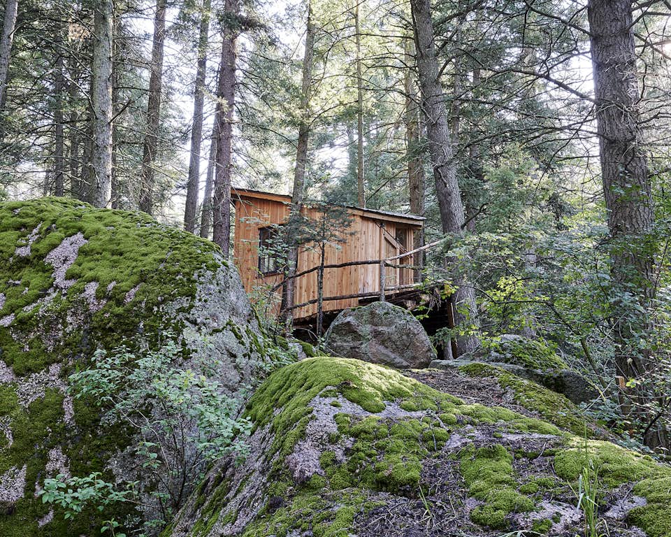 A Family Builds a Fairy-Tale Tree House in the Woods of Colorado - Dwell
