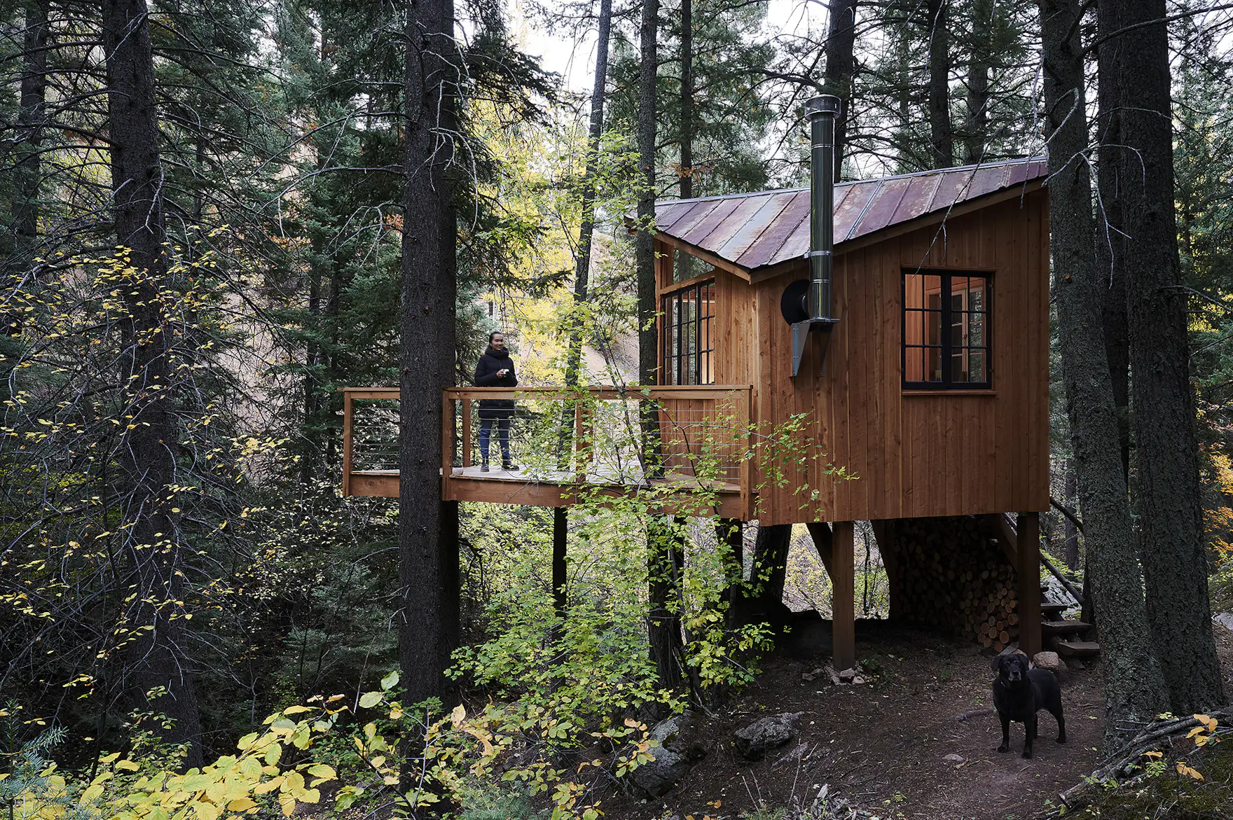 Photo 2 of 13 in A Family Builds a Fairy-Tale Tree House in the Woods ...