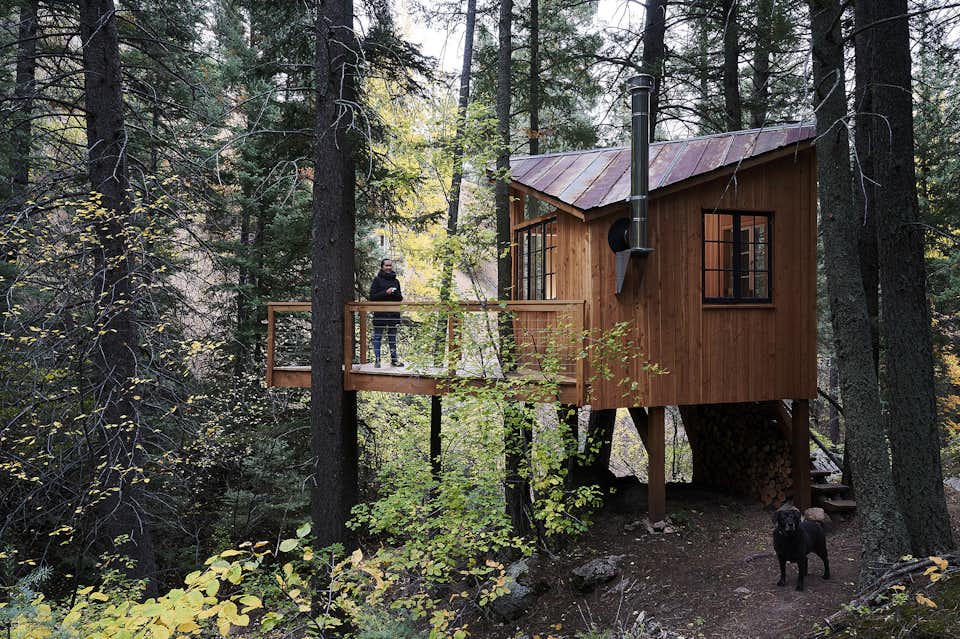 A Family Builds a Fairy-Tale Tree House in the Woods of Colorado - Dwell