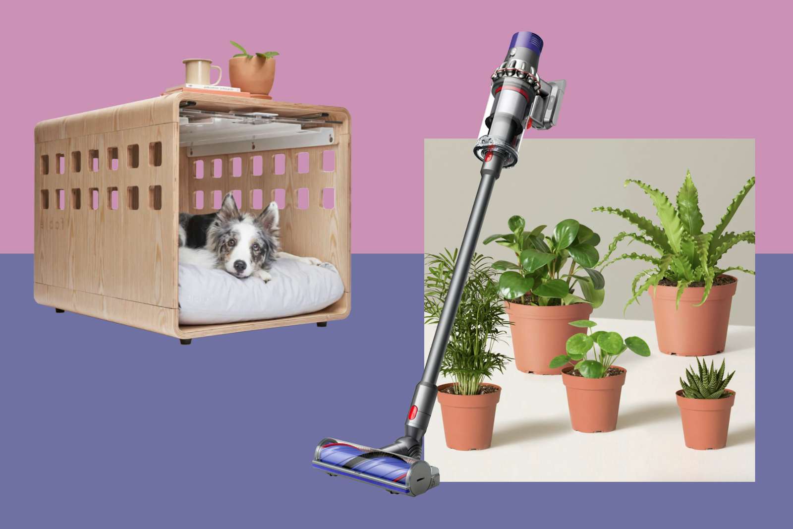 Fable Pets’ Jeremy Canade’s Favorite Dog Essentials Are Made for City ...