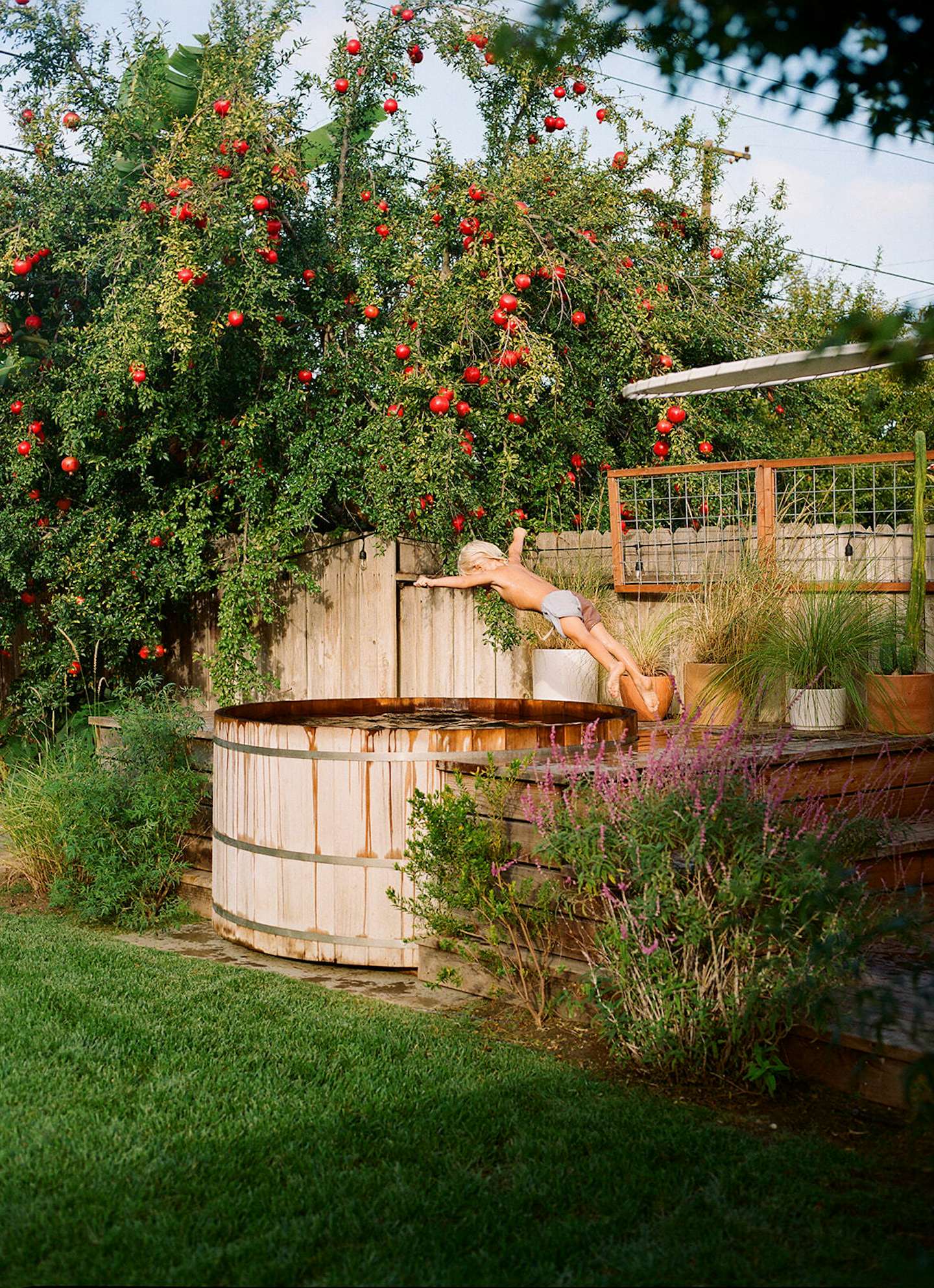 Photo 23 of 25 in They Love Surfing So Much They Put a Skate Ramp in ...