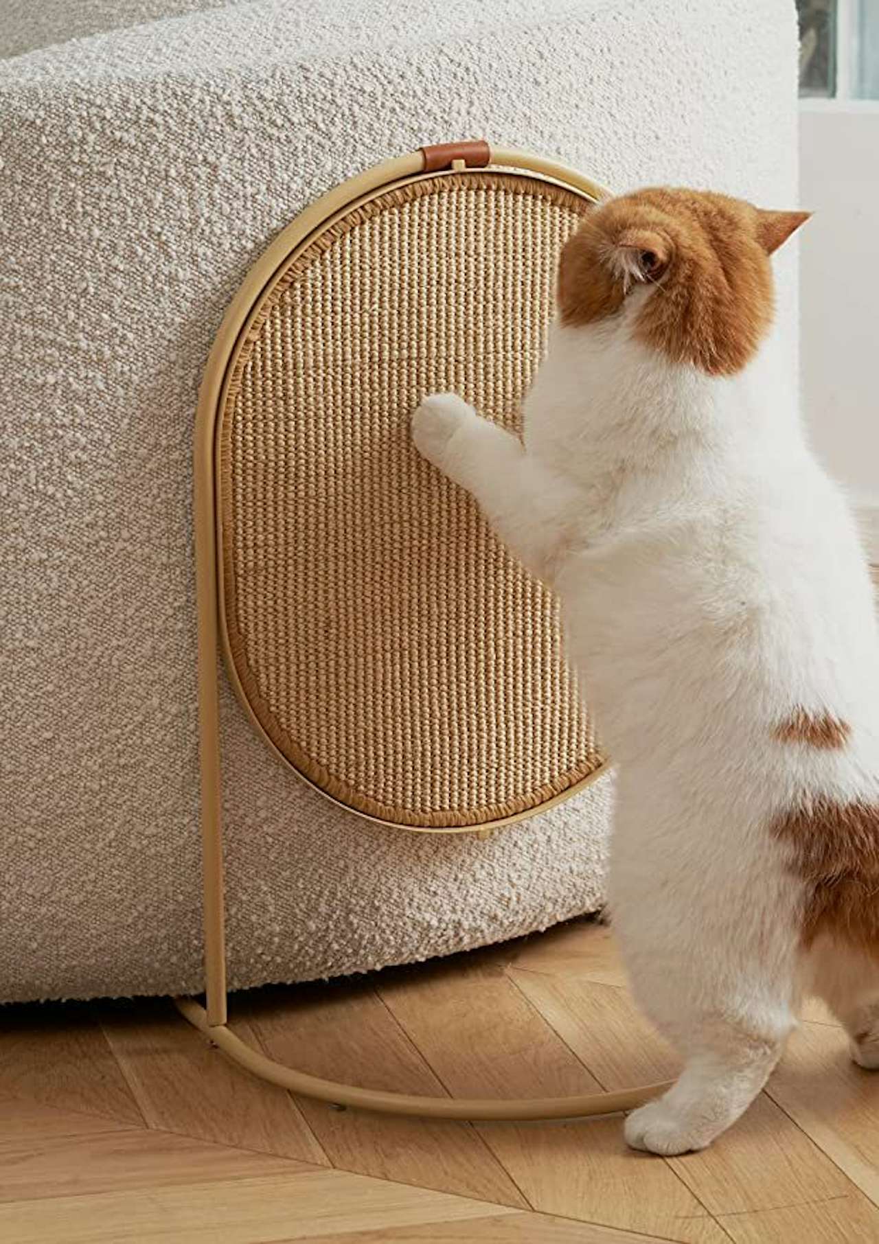 Discover the best nap-cat-scratcher.html products on Dwell - Dwell