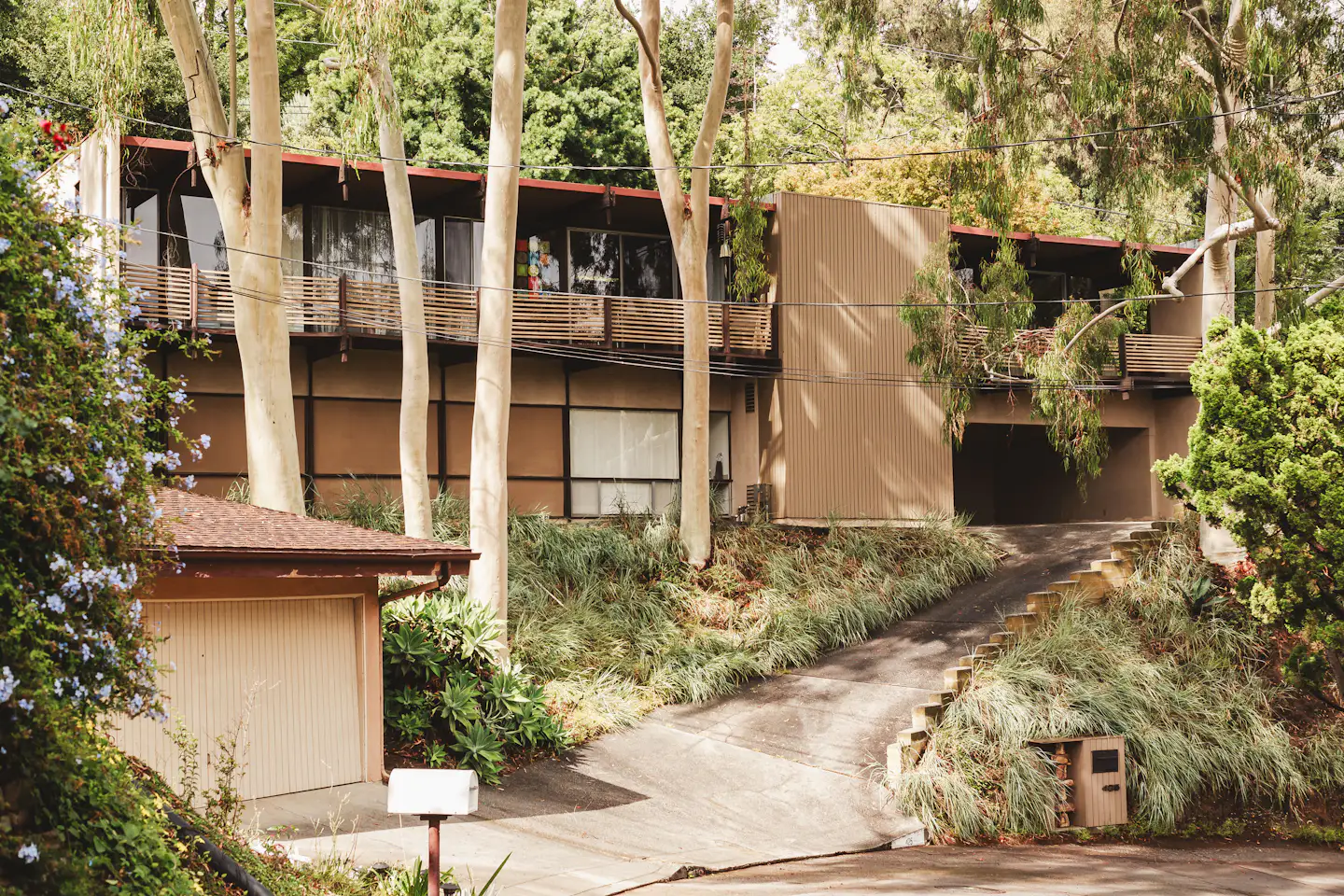 Photo 1 of 10 in In SoCal, a Midcentury Time Capsule With Tree House ...