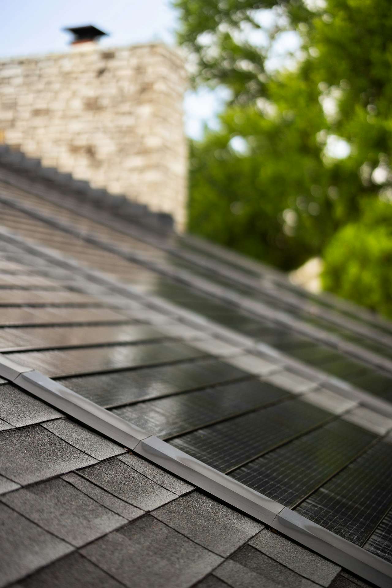 Photo 8 of 8 in A Sleek Solar Roof Solved for Clean Energy—and Errant ...