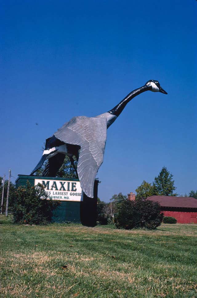 Photo 6 of 11 in Take a Tour of the Country’s Weirdest Architectural ...