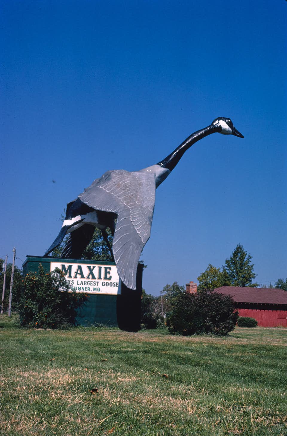 Photo 6 of 11 in Take a Tour of the Country’s Weirdest Architectural ...