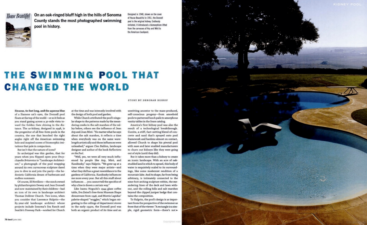 Photo 1 of 3 in From the Archive: The Swimming Pool That Changed the ...