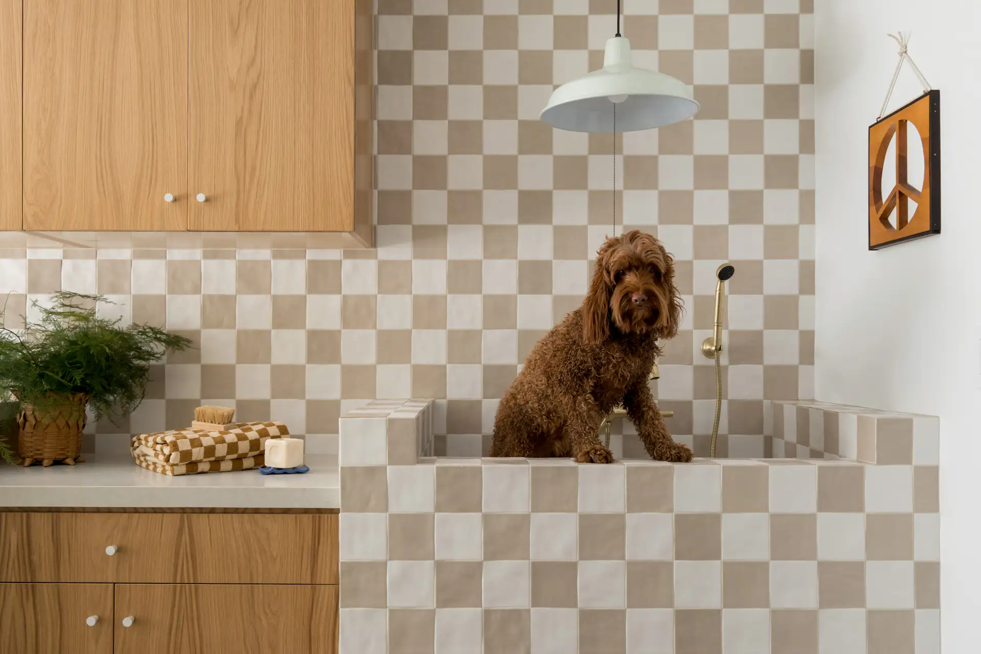 Photo 1 of 4 in Designers Are Creating At-Home Pet Spas for Their Dog ...