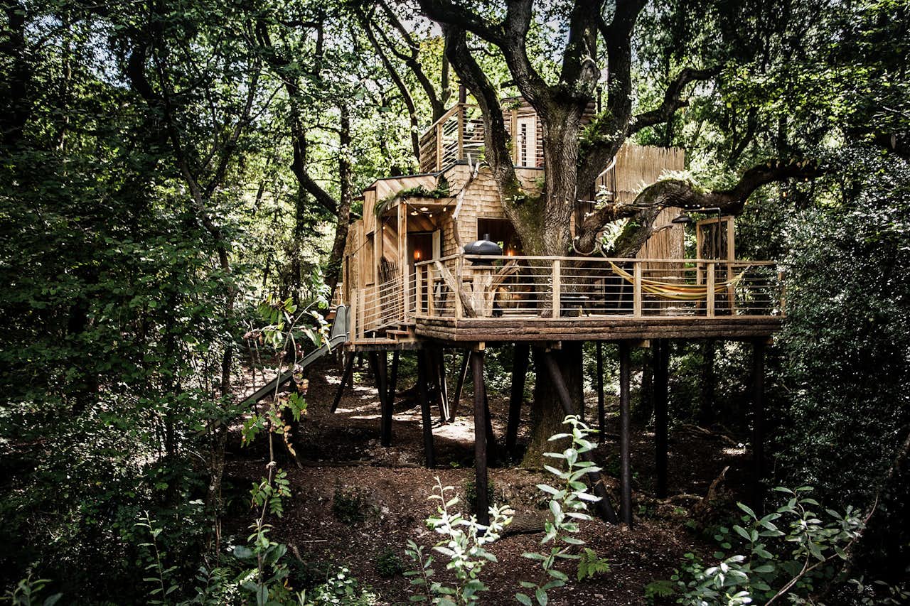 16 Unbelievable Tree Houses We're Pining Over - Dwell