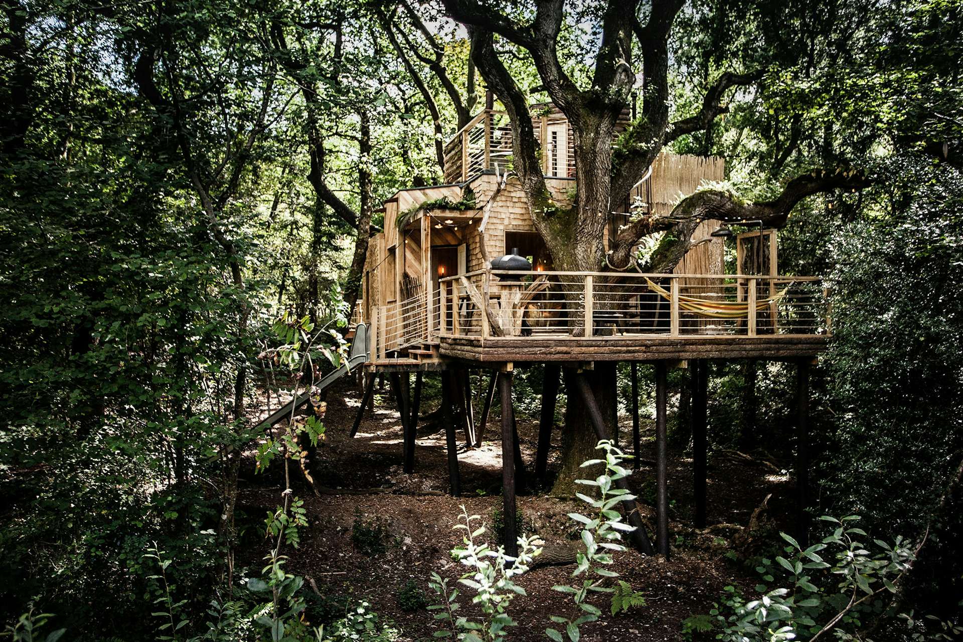 Photo 14 of 20 in 20 Unbelievable Tree Houses We’re Pining Over from ...