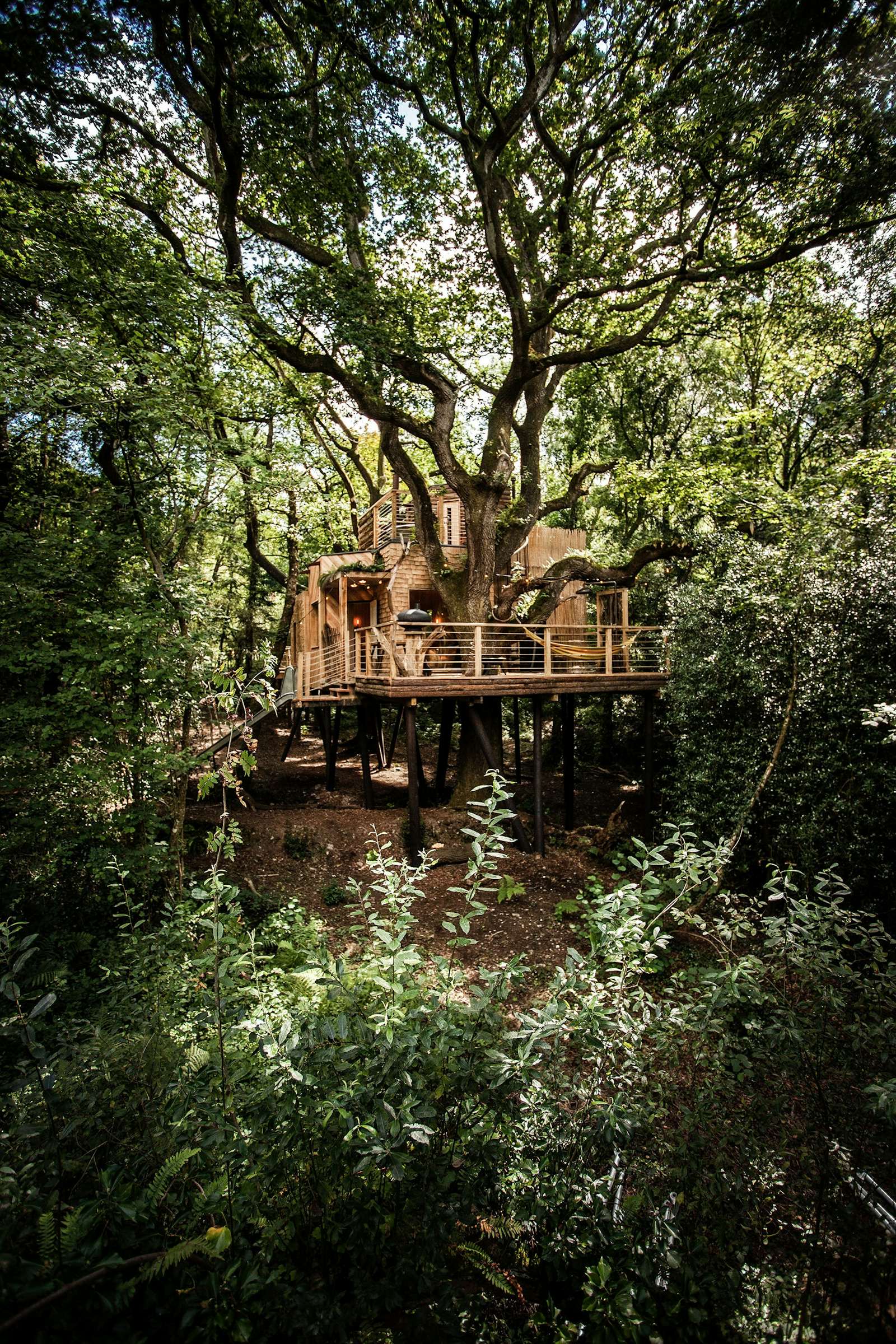 Photo 10 of 16 in 15 Brilliant Designs That Work Around Nature from The ...