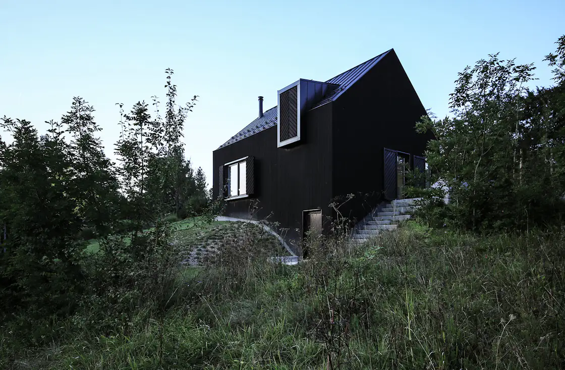15 Black Cabins That Make the Case for Dark Exteriors - Dwell