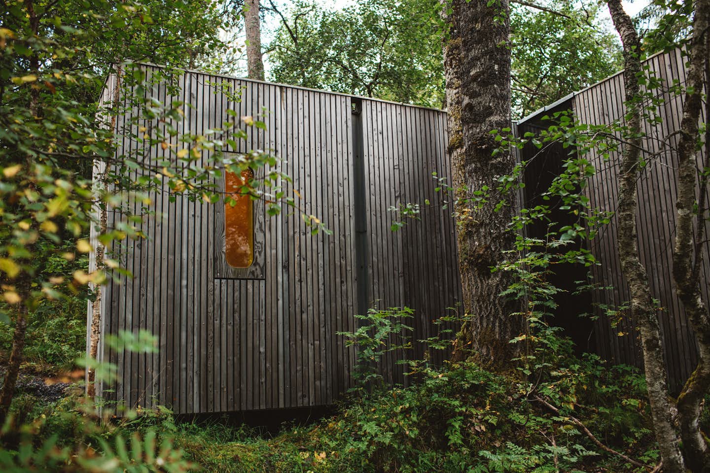 Juvet (Ex-Machina) Landscape Hotel (37 Photos) - Dwell
