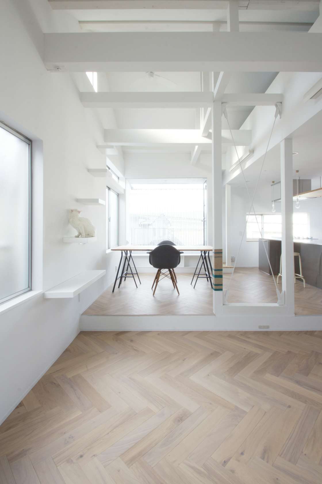 Cat Architecture: 6 Homes Designed With Felines in Mind - Dwell