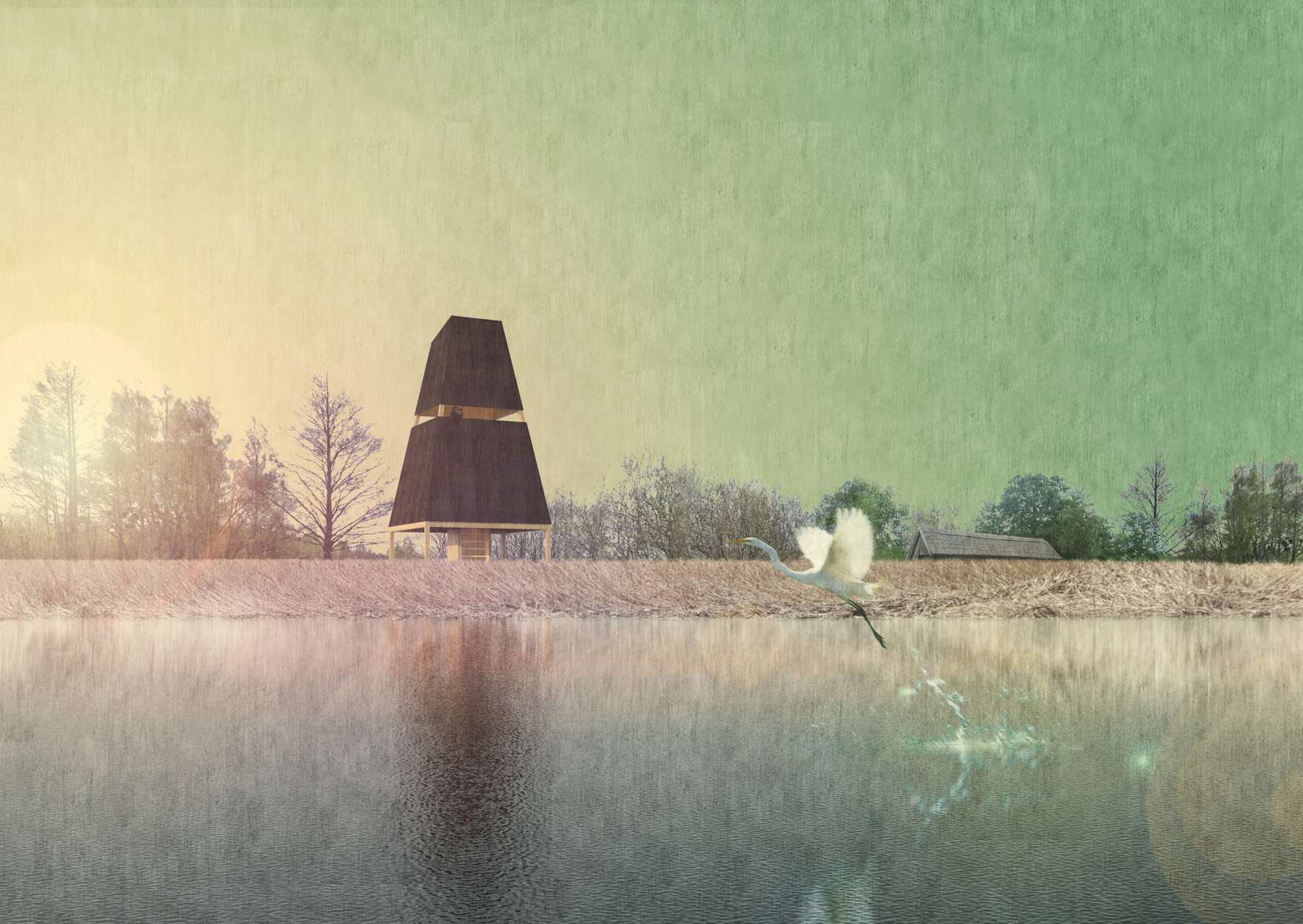 Photo 7 of 9 in Bird-Watchers Will Be Flying High Once This Stunning ...