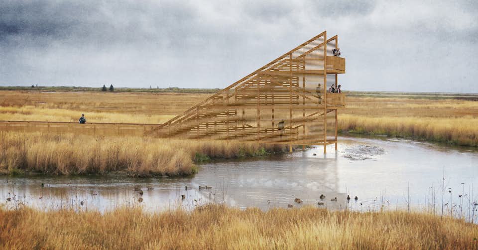 Photo 7 of 9 in Bird-Watchers Will Be Flying High Once This Stunning ...