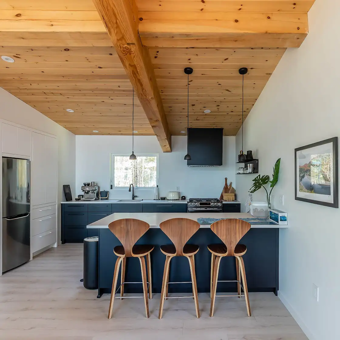 Kitchen Design Photos and Ideas - Dwell