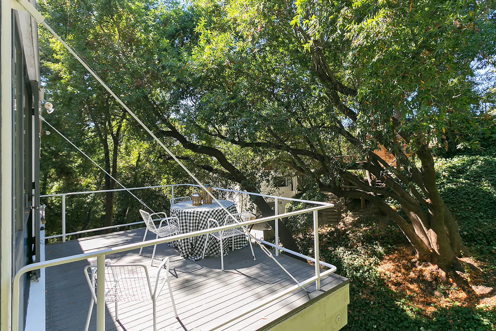 An Amazing Tree-Covered Glass House For Sale in the Berkeley Hills - Dwell