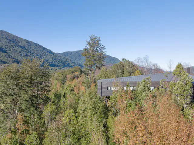 A T-Shaped Cabin Hugs a Forested Hillside in Chile - Dwell