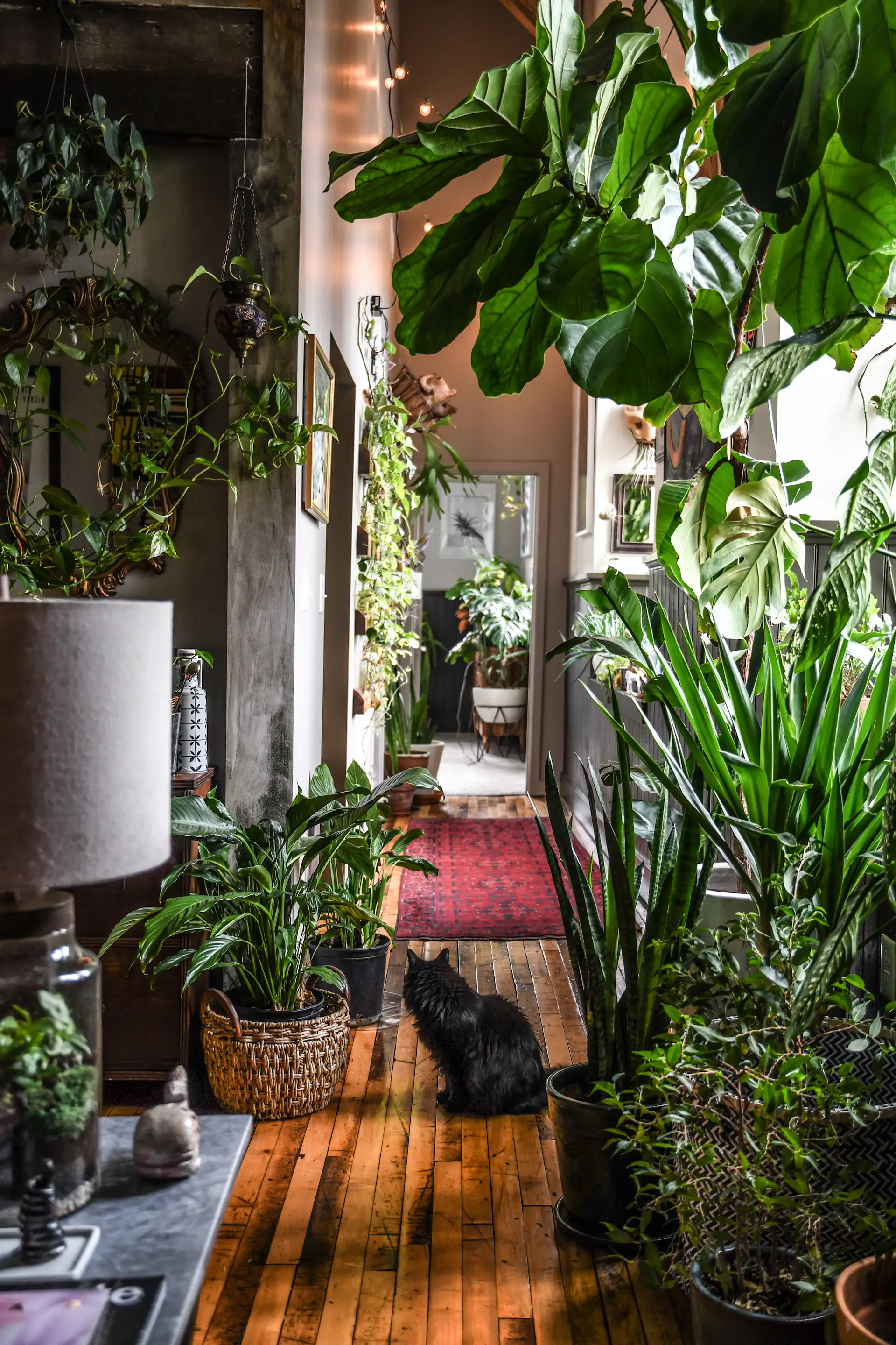 Photo 2 of 15 in Designer Hilton Carter’s Bodacious Baltimore Pad Teems ...