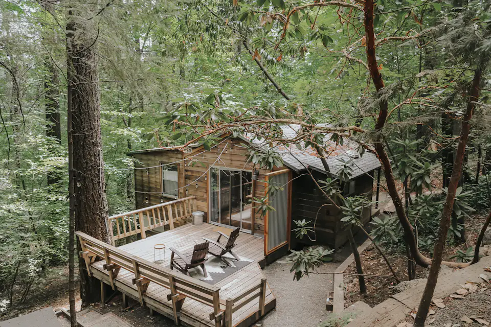 9 “Before & After” Cabin Renovations That Will Make You Look Twice - Dwell