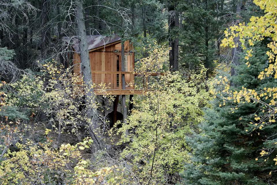 A Family Builds a Fairy-Tale Tree House in the Woods of Colorado - Dwell