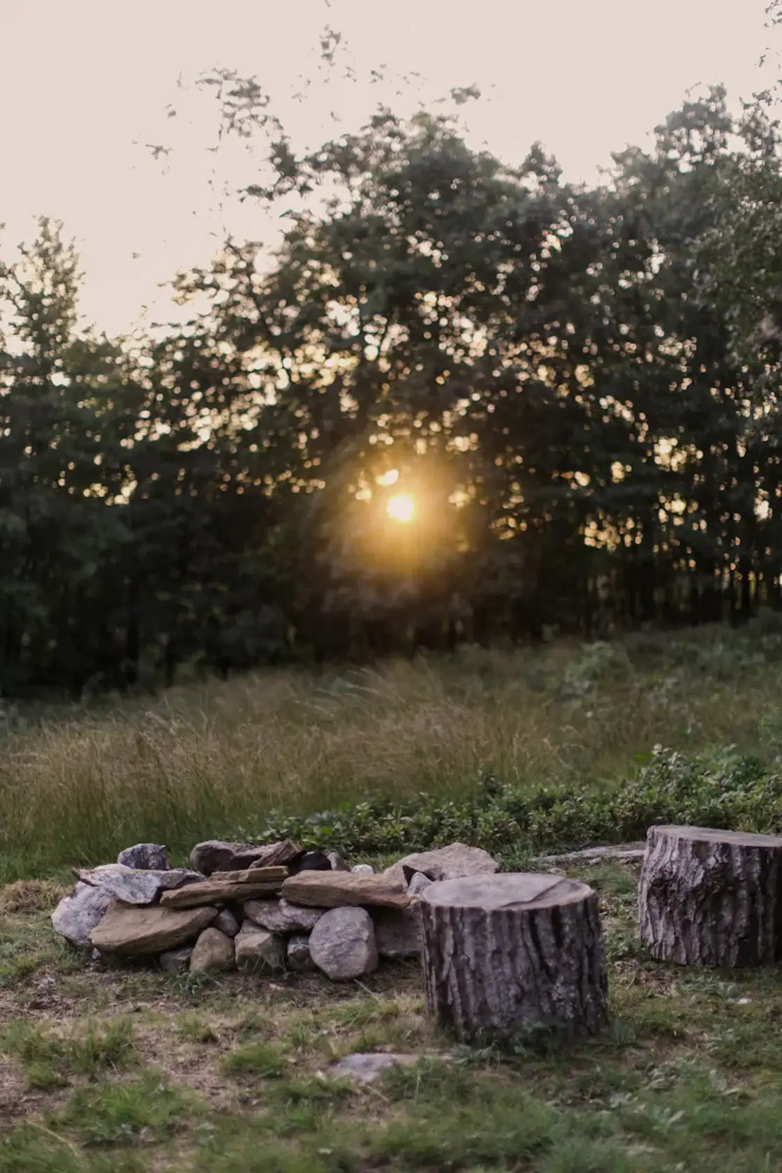 This $225-a-Night Tiny Cabin in Upstate NY Was Built Entirely for ...