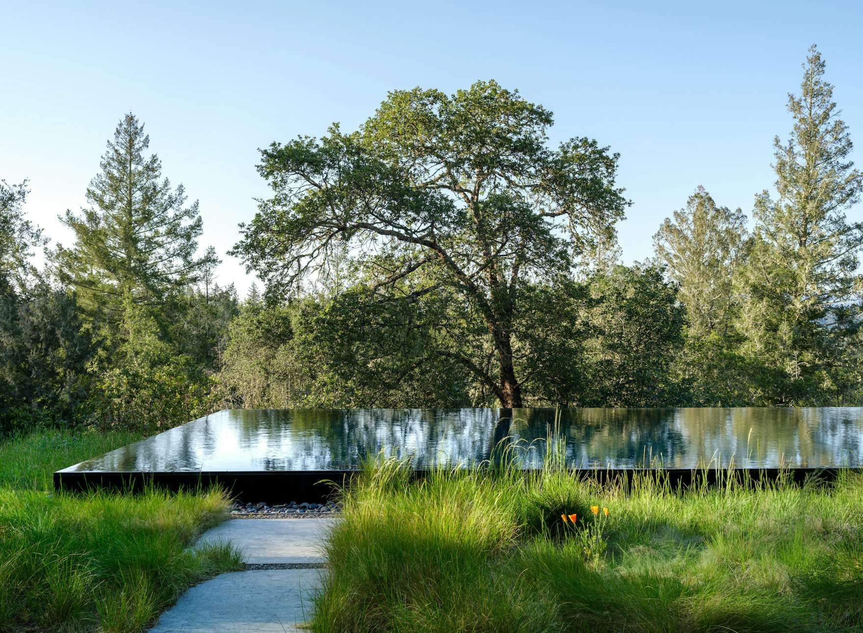 Photo 14 of 15 in This Off-Grid Design Studio Feels Like It’s Floating ...