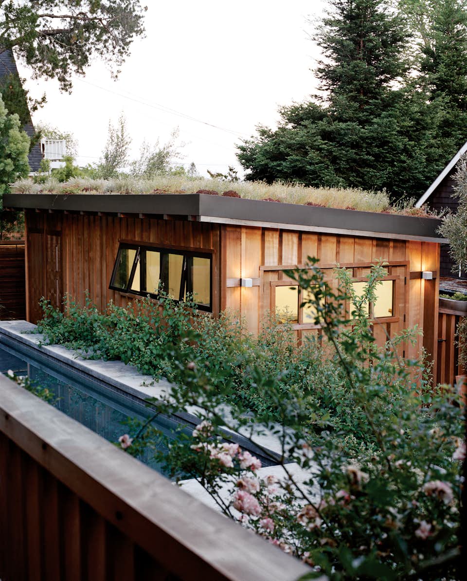 25 Green Roofs That Bring Spectacular Homes to New Levels - Dwell