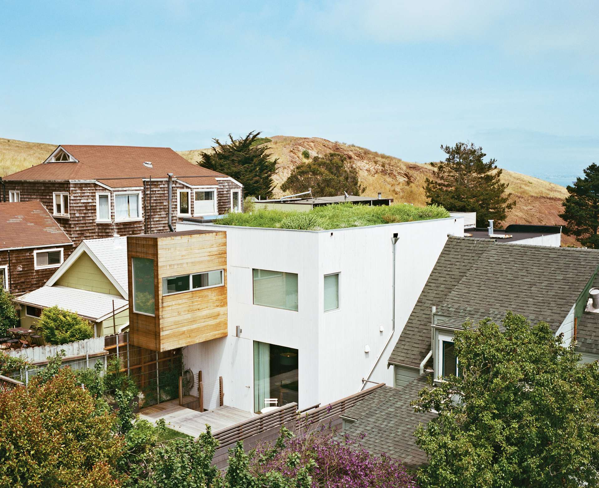 25 Green Roofs That Bring Spectacular Homes to New Levels - Dwell
