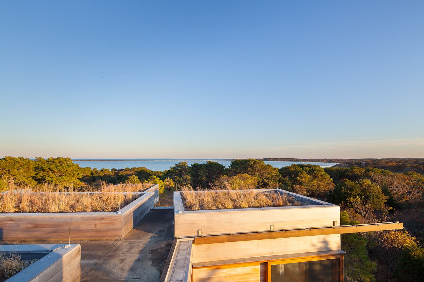 25 Green Roofs That Bring Spectacular Homes to New Levels - Dwell