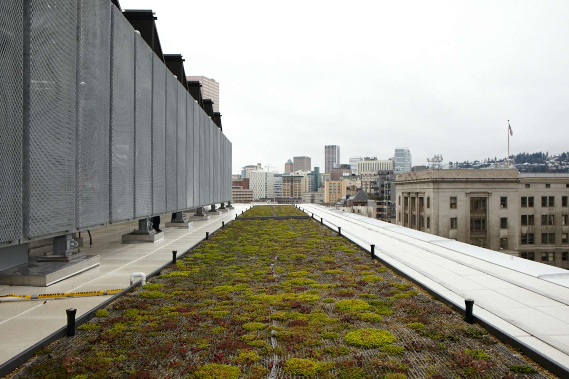 25 Green Roofs That Bring Spectacular Homes to New Levels - Dwell