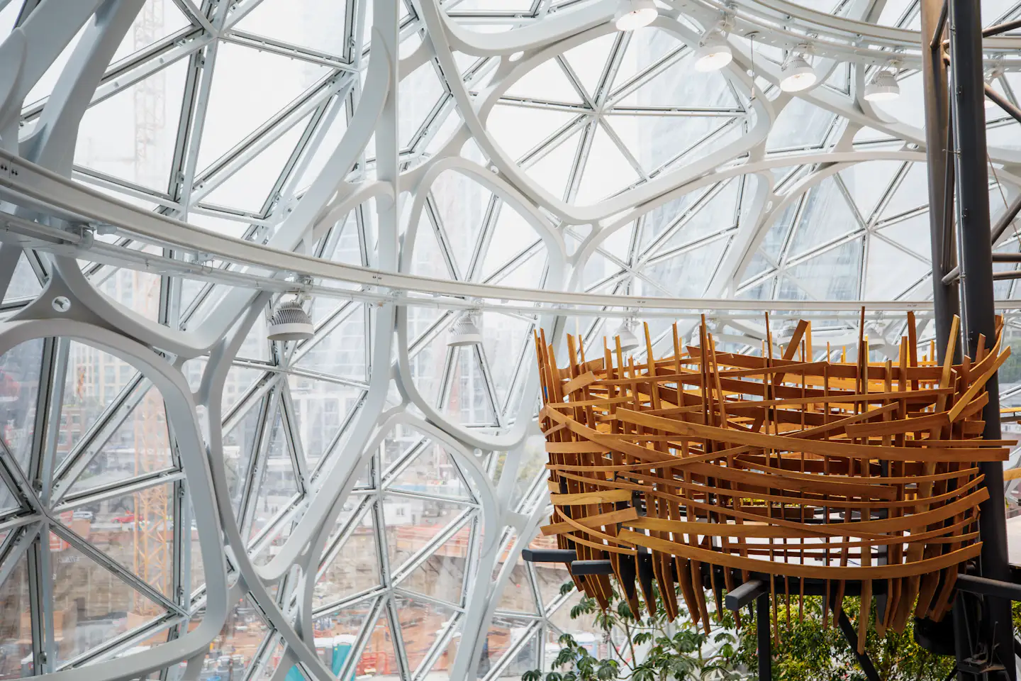 Photo 7 of 9 in Meet Downtown Seattle's Newest Landmark: The Amazon ...